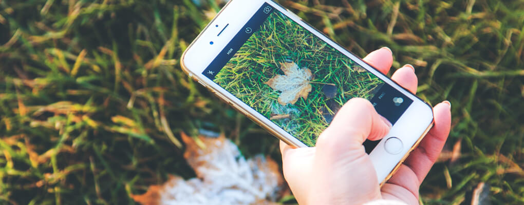 How to create fast loading, beautiful images for an awesome blog