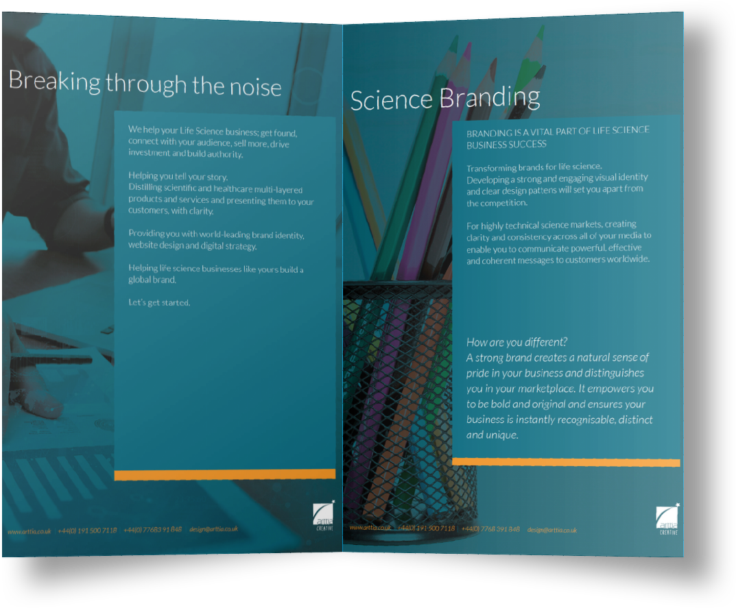 TY brochure download - Arttia Creative Limited