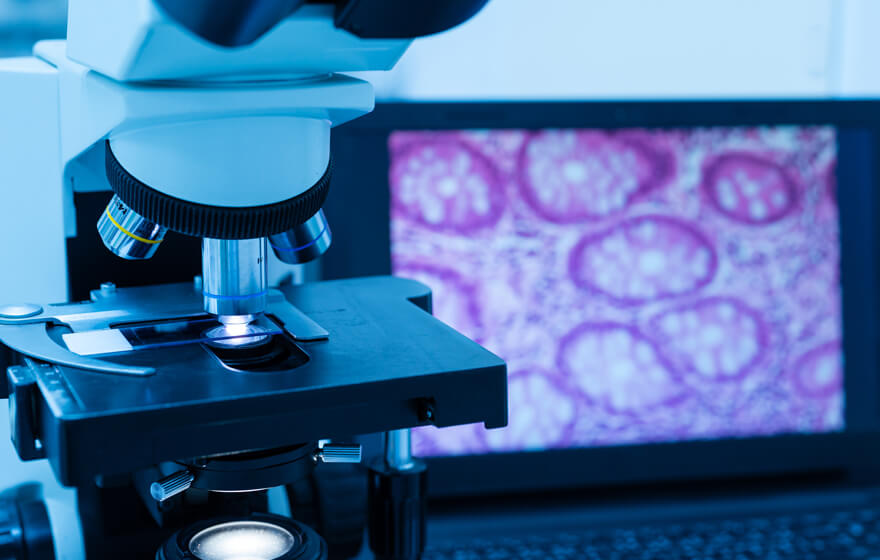 Parhelia Bio Case Study | E-commerce website and SEO